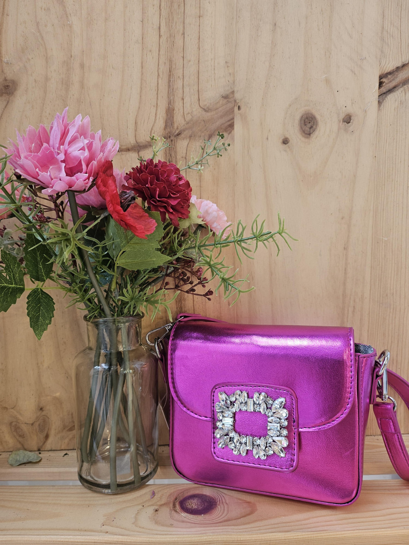 Rhinestone bag | Paris Fashion Shops